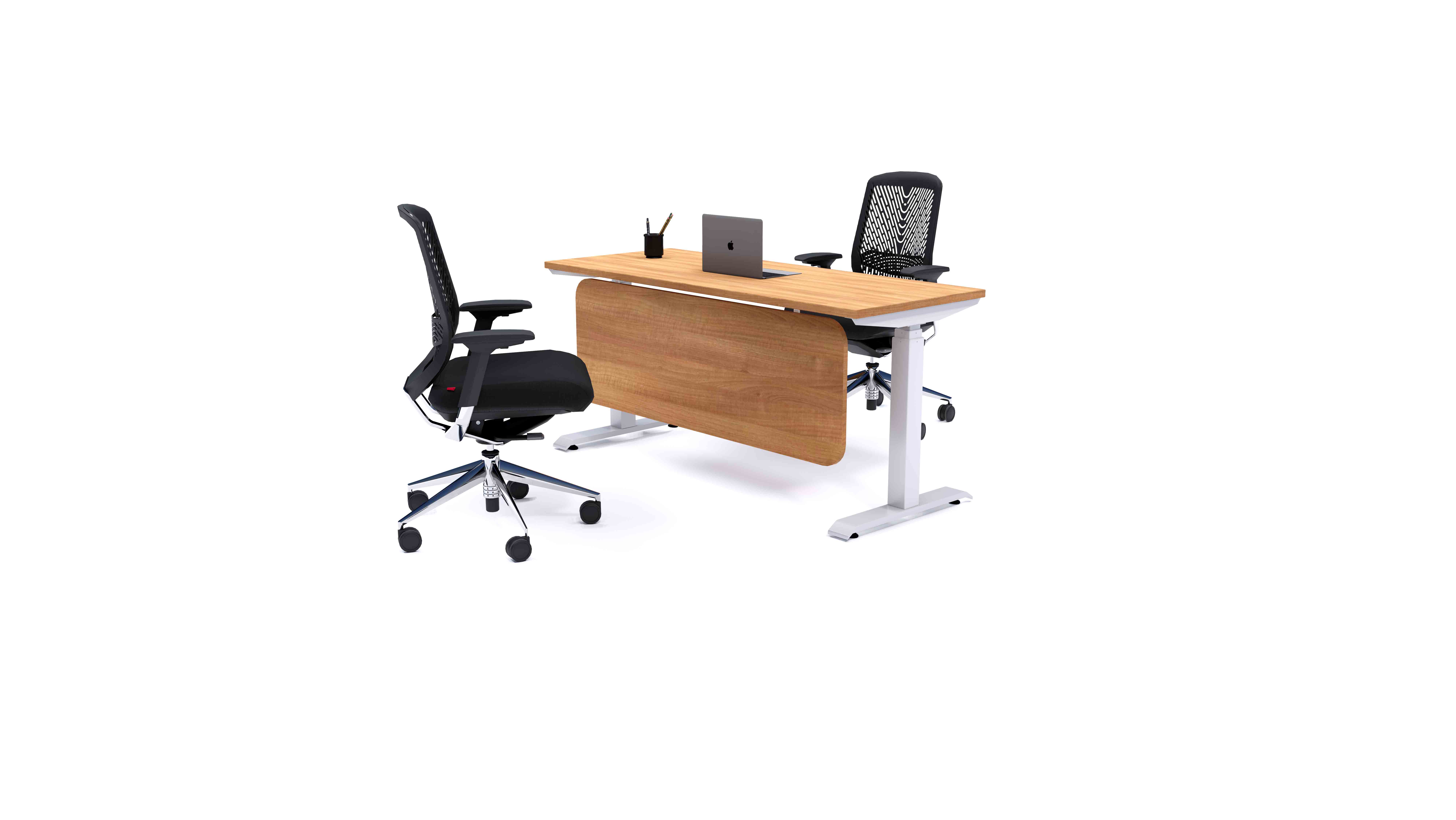 Lift-Up Pro Desk | Height Adjustable Modern Workspace Solution